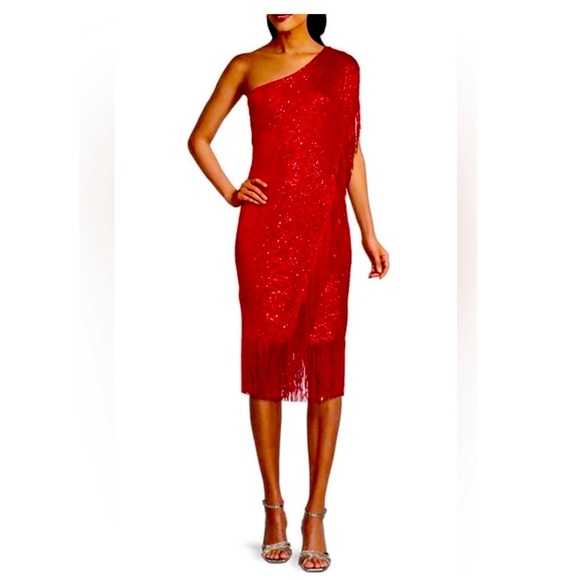 Reba | Dresses | Reba Sequin One Shoulder Fringe Dress | Poshmark
